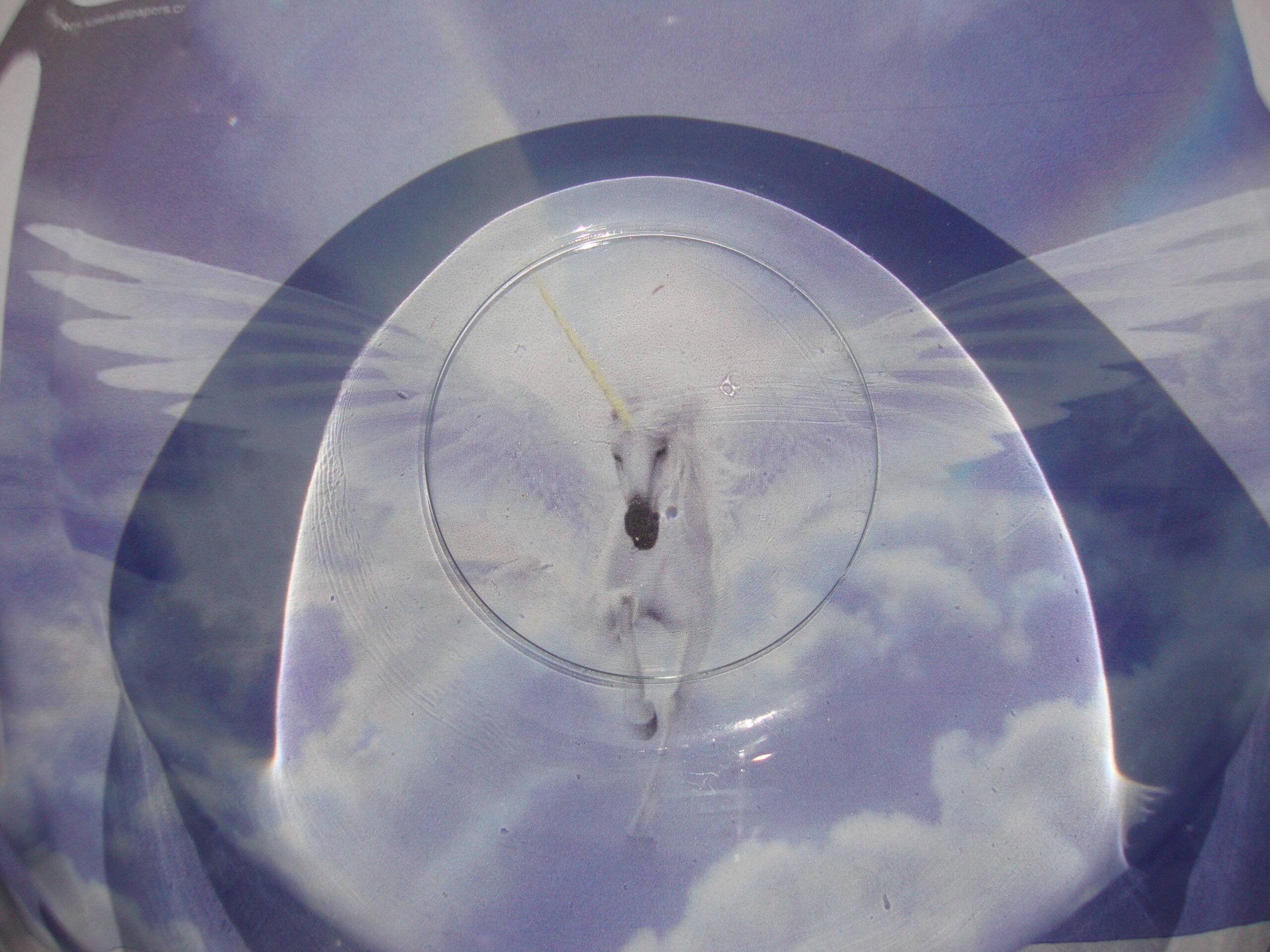 Enhjørninge og ravne essenser fødes | Regnbuetemplet